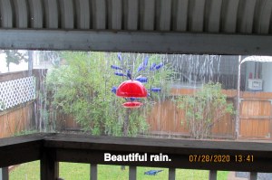 Beautiful rain !! « Three Quarters & Counting