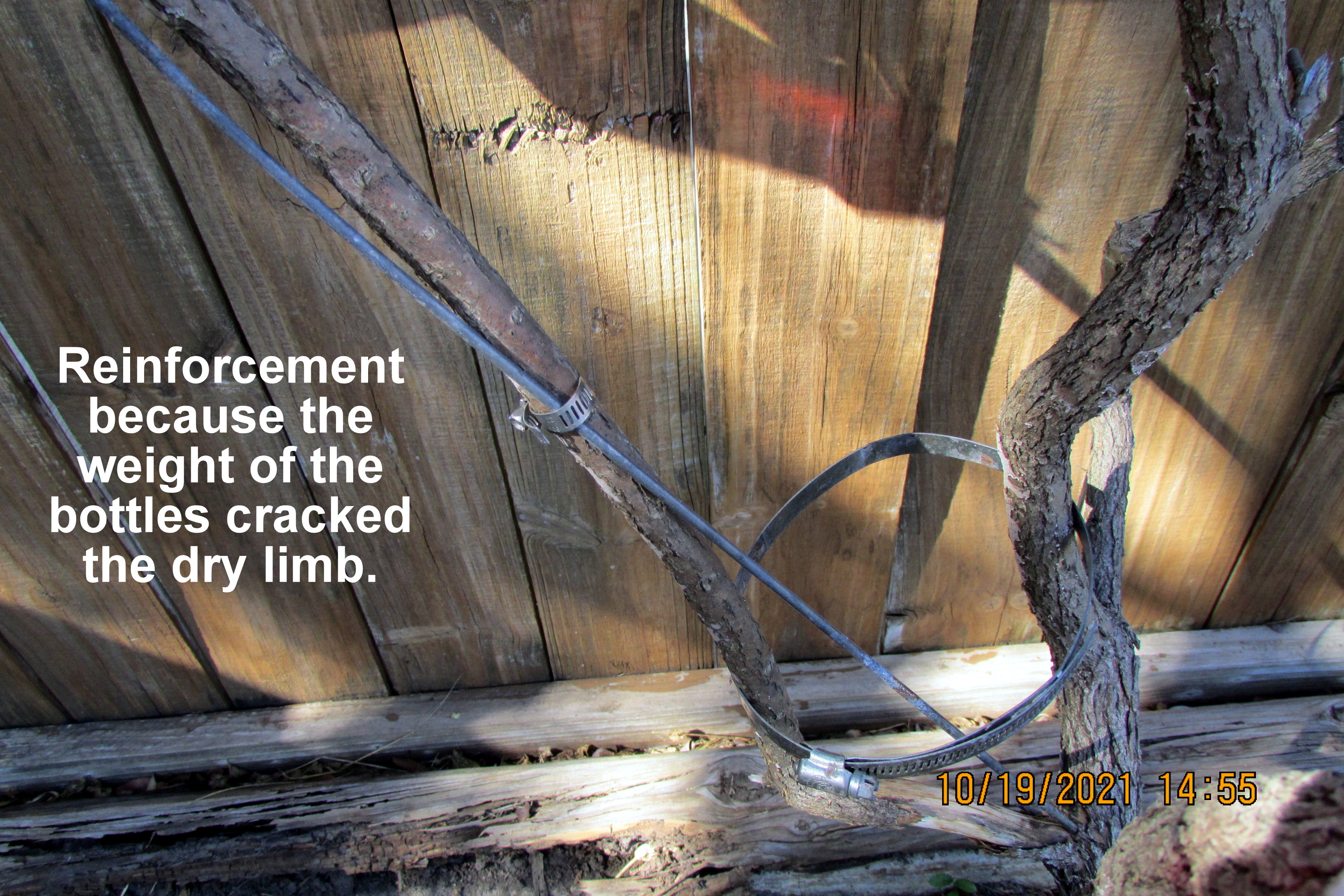 Dumb deed « Three Quarters & Counting